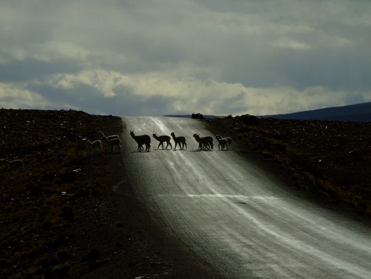 Hempel Peter - Fotos & Bilder - Fotograf aus Glauchau/ Niederlungwitz ...