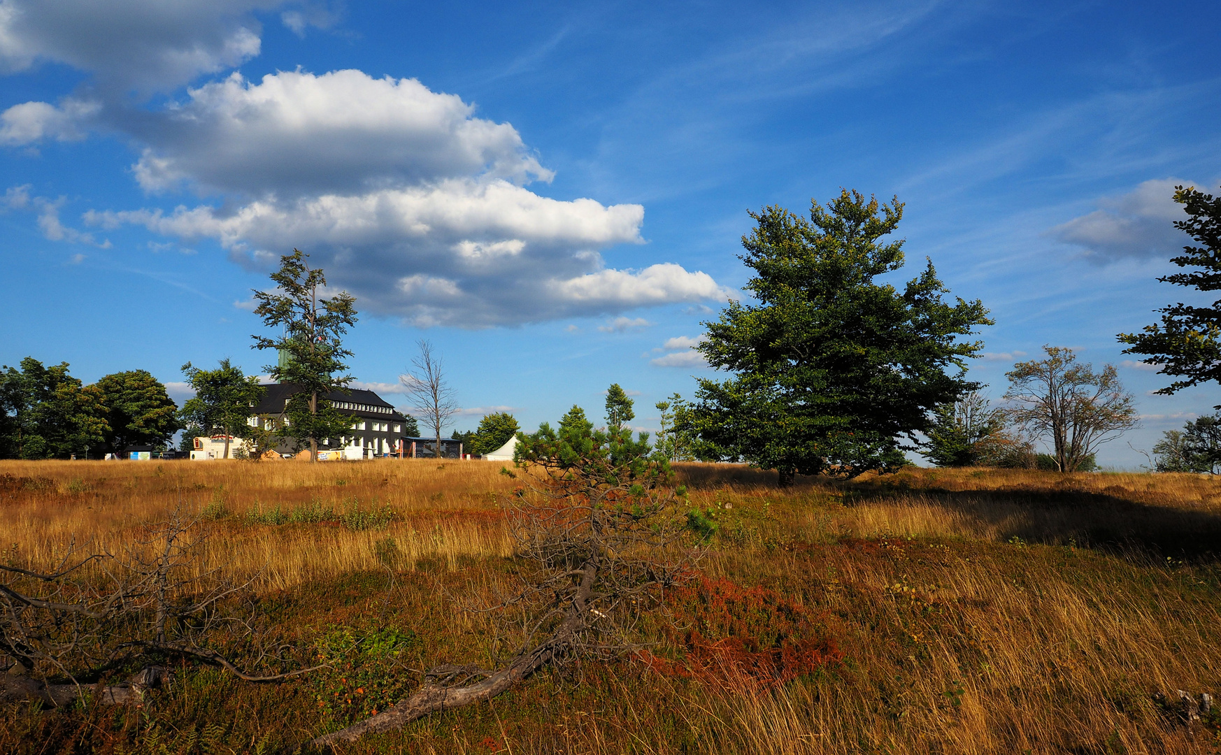 Auf dem Kahlen Asten ..... Foto & Bild | natur, landschaft, berg Bilder ...