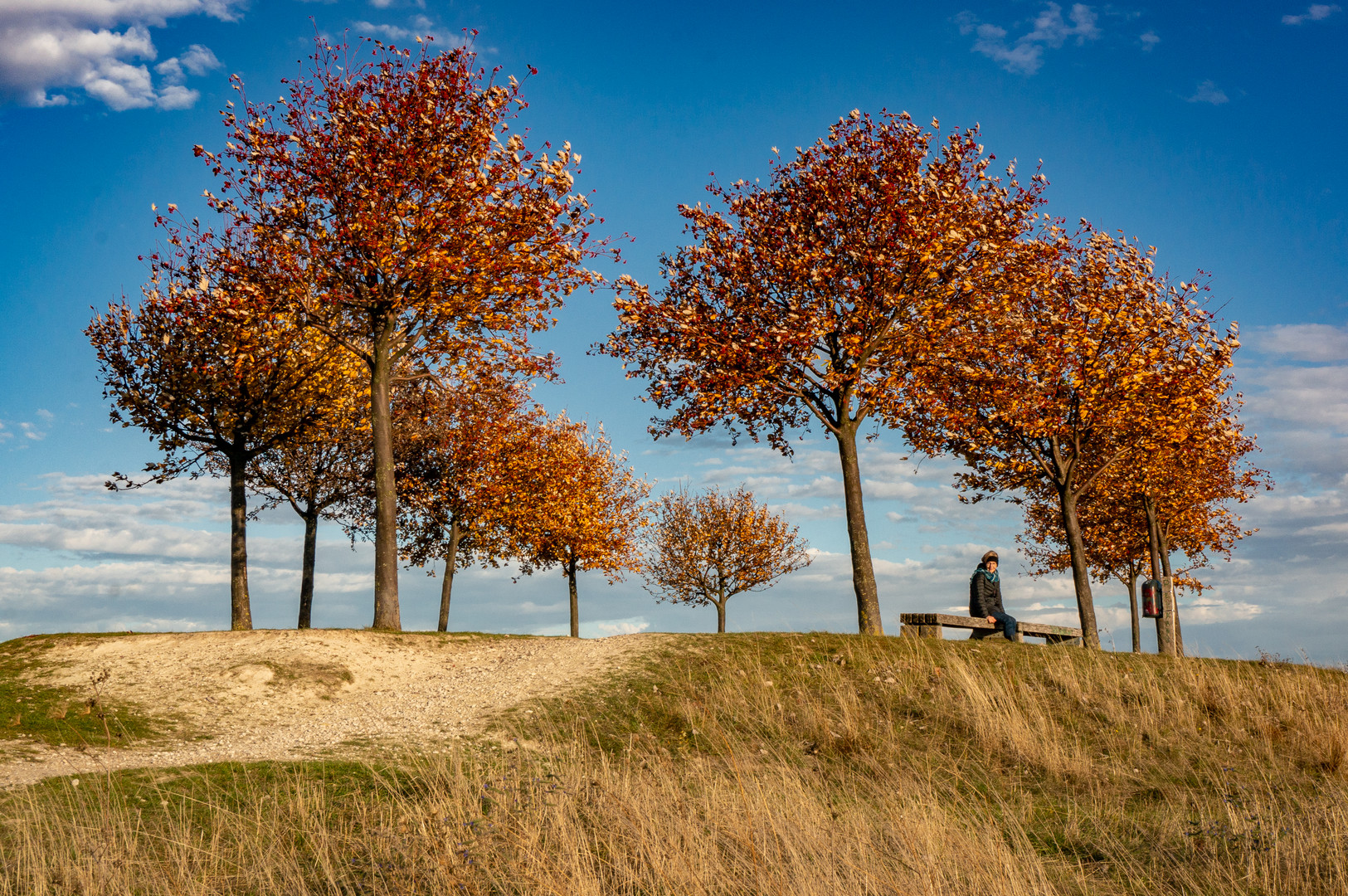 auf dem Kronsberg - Hannover Foto & Bild | natur, herbst, landschaft ...