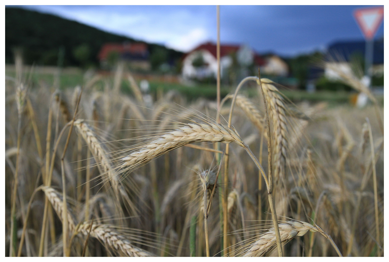 Auf dem Land... Foto & Bild | landschaft, Äcker, felder & wiesen, natur ...