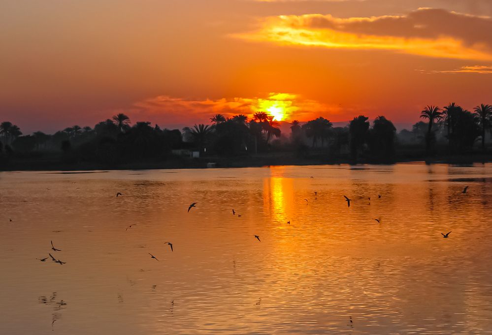 auf dem Nil bei Esna Foto & Bild | africa, egypt, north africa Bilder ...