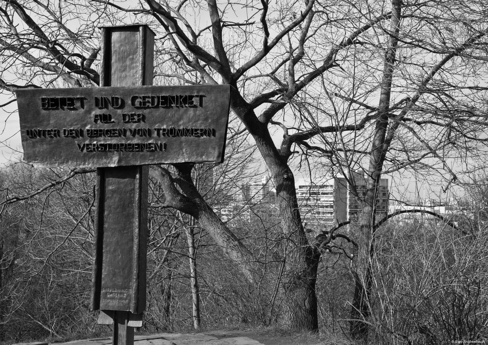 Auf dem Schuttberg im Luitpoldpark Foto & Bild | deutschland, europe ...