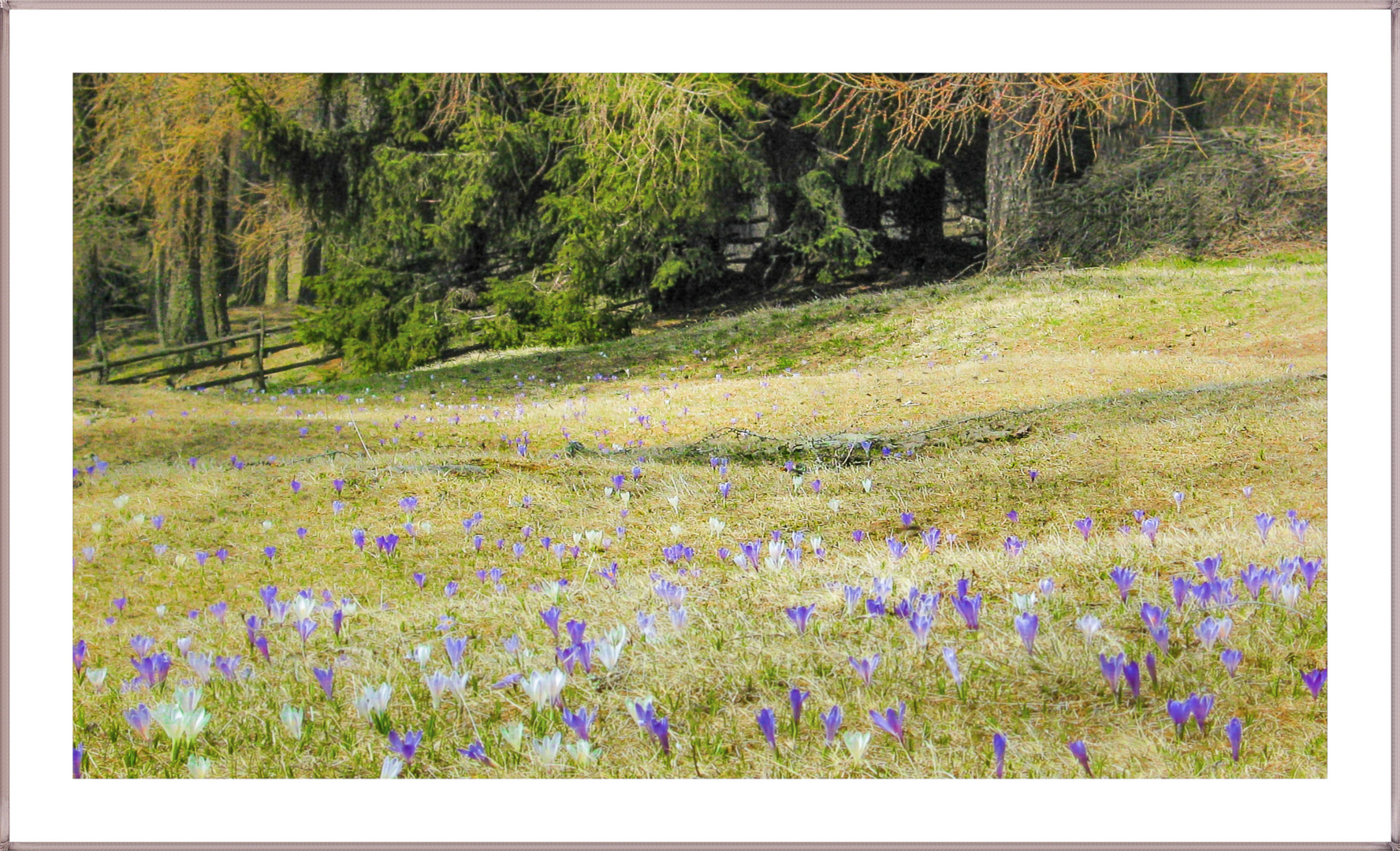auf der Heide Foto & Bild | landschaft, heide, natur Bilder auf ...