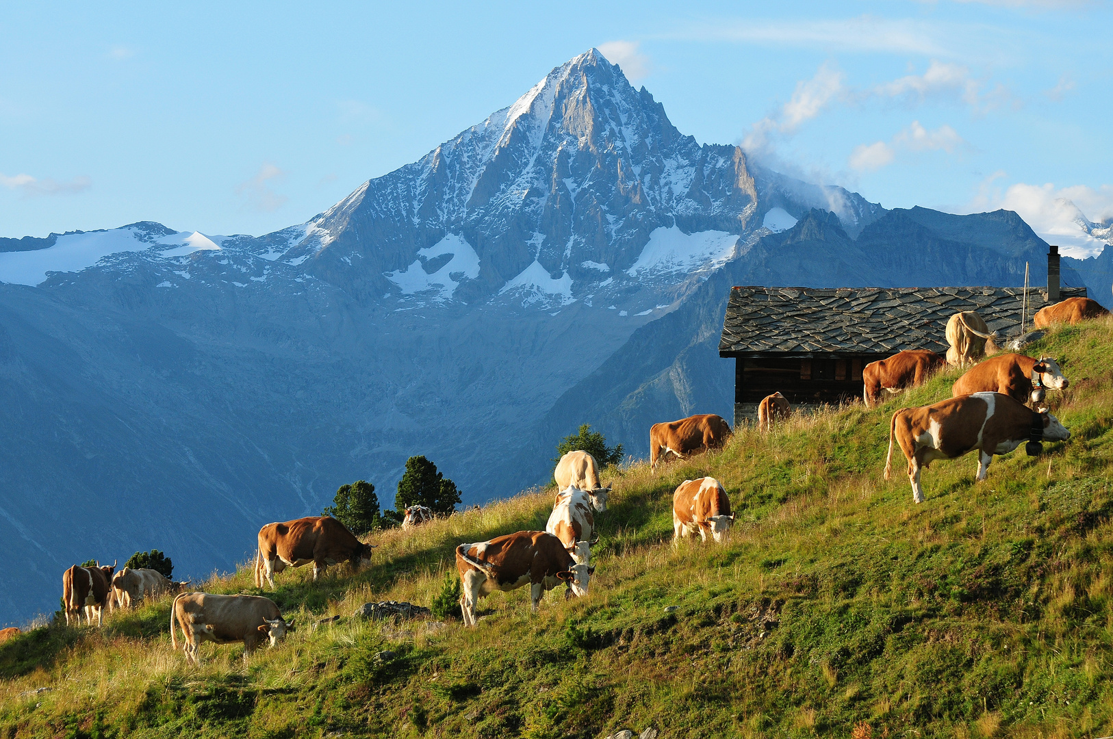 Auf der Moosalp Foto & Bild | landschaft, berge, alpen Bilder auf ...