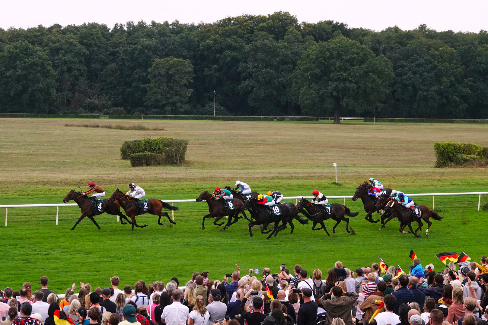 Auf der Pferderennbahn Foto & Bild | sport, tiere, sport mit tieren Bilder auf fotocommunity