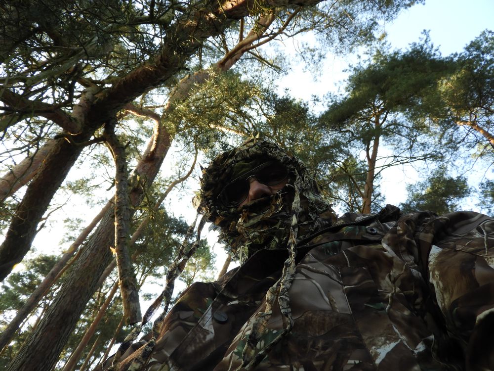 auf der Pirsch Foto & Bild | natur Bilder auf fotocommunity