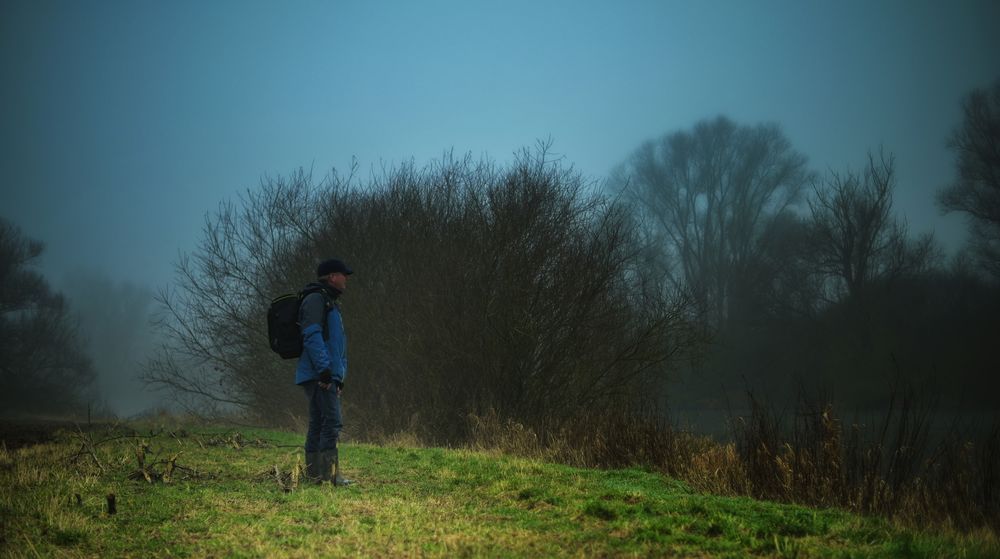 Auf der Pirsch Foto & Bild | deutschland, europe, nordrhein- westfalen ...