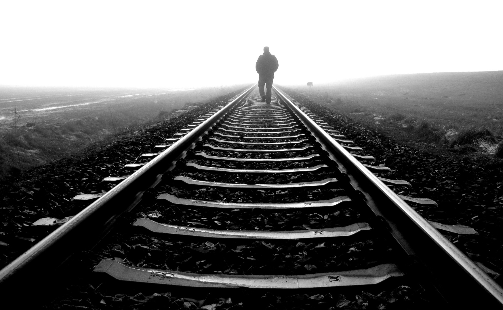 Auf der Suche Foto & Bild | deutschland, europe, schleswig- holstein ...