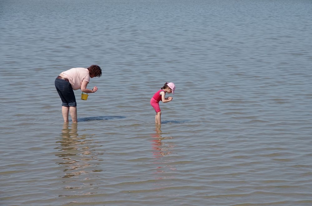 Auf der Suche… Foto & Bild | erwachsene menschen, deutschland, europe Bilder auf fotocommunity