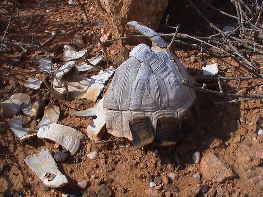Martin Sebesta - Fotos & Bilder - Fotograf aus Berlin, Deutschland ...