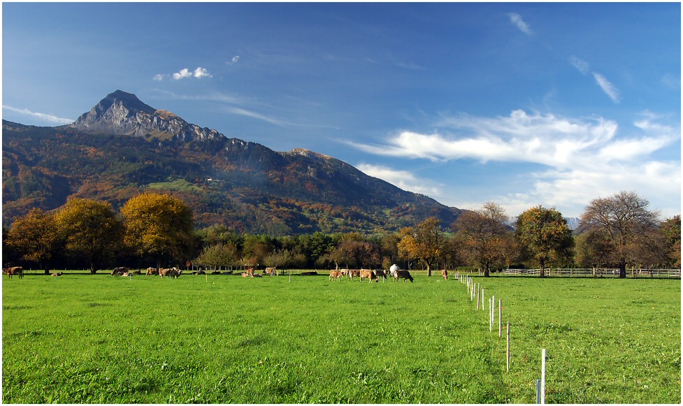 auf der Weide ... Foto & Bild | landschaft, natur Bilder auf fotocommunity