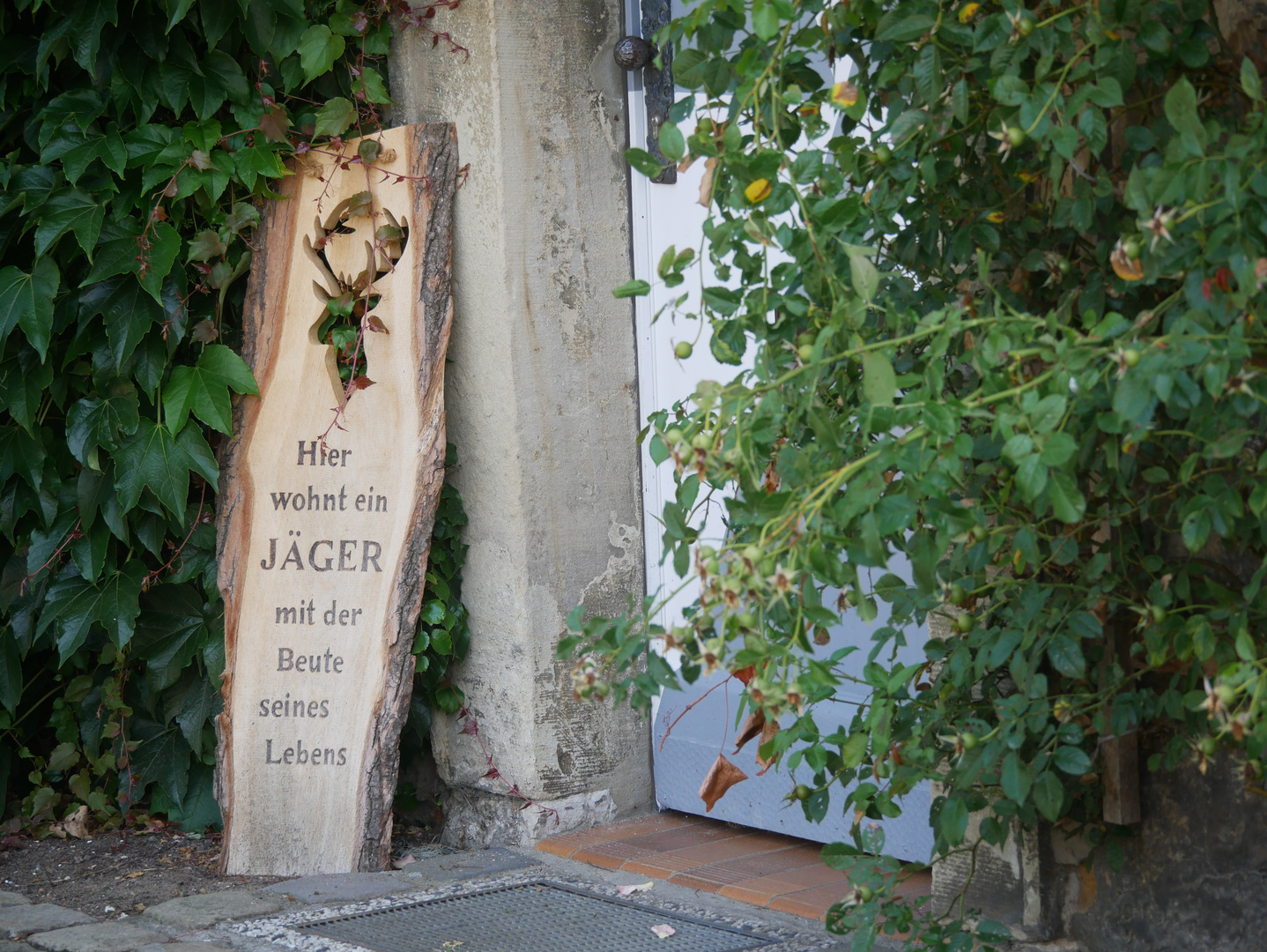 Auf die Idee musst du erst mal kommen Foto & Bild | deutschland, europe ...