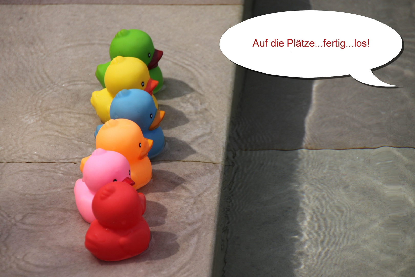 Auf die Plätze...fertig...los! Foto & Bild | quatsch, fun und ...