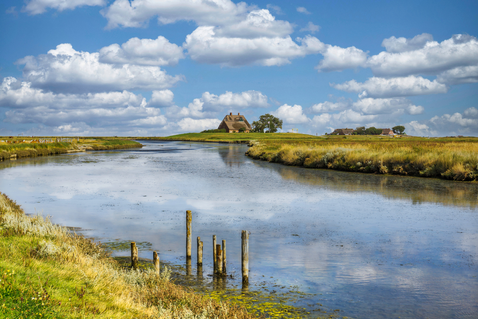 Auf Hallig Hooge Foto & Bild | landschaft, lebensräume, meer & strand ...