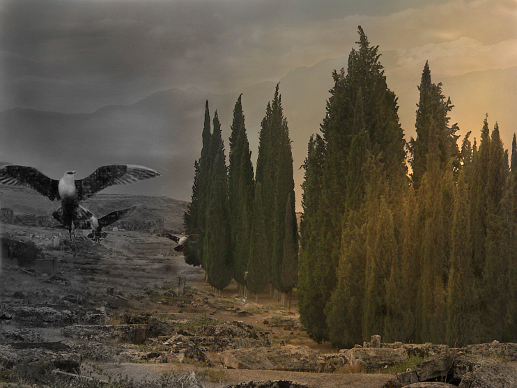 Auf lautlosen Schwingen zieht die Leere durch mein Land Foto & Bild | fotomontage, landschaften ...