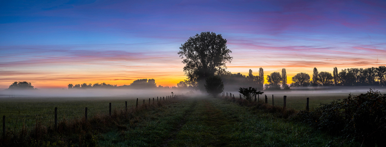 Auf meinem Weg zur Arbeit Foto & Bild | fotos, spezial, bäume Bilder ...