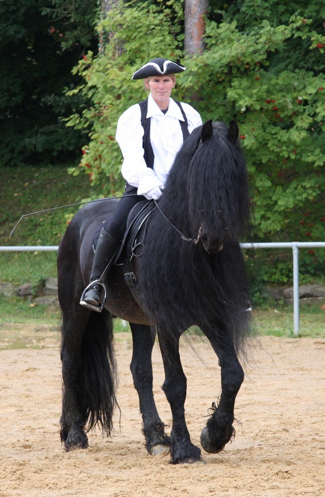 Auf Wunsch nun der ganze Friese samt Reiterin Foto & Bild | tiere ...