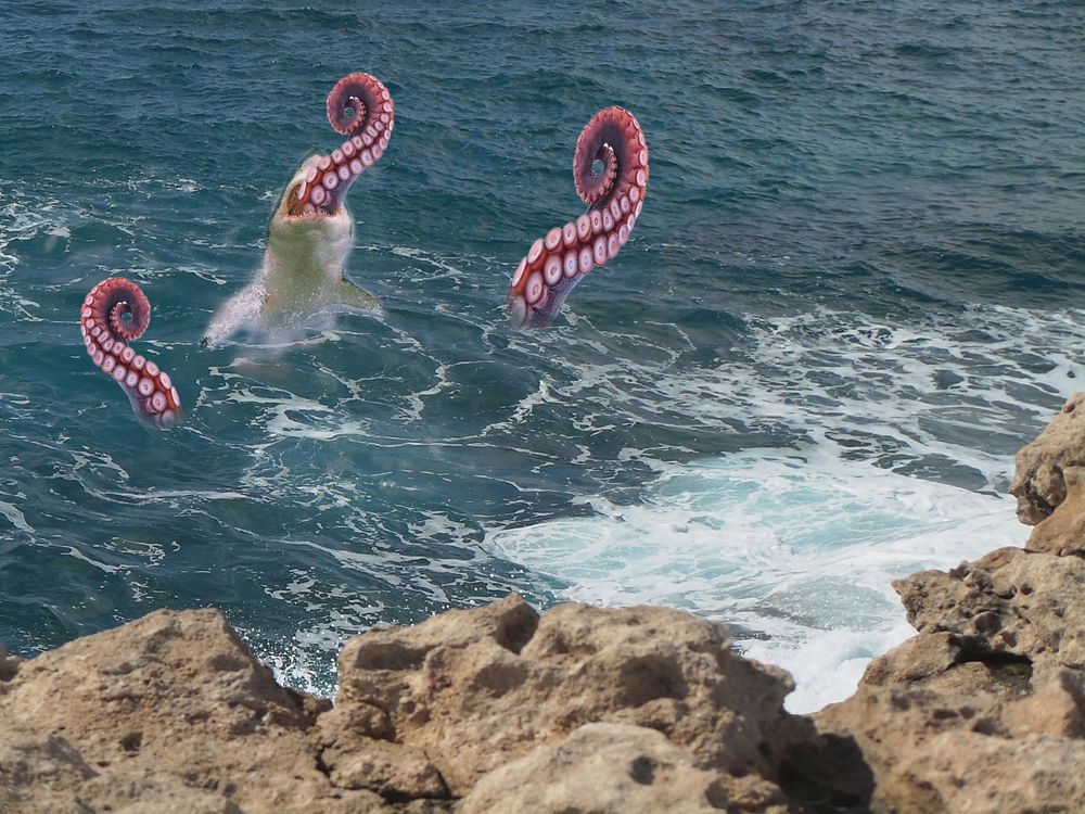 Auf Zypern, sah ich dieses Spektakel... *-* Foto & Bild | fotos ...