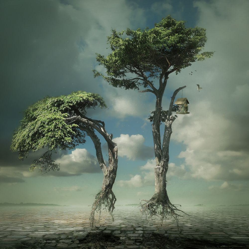 Aufbruch Foto & Bild | fotomontage, surreal, digiart Bilder auf fotocommunity