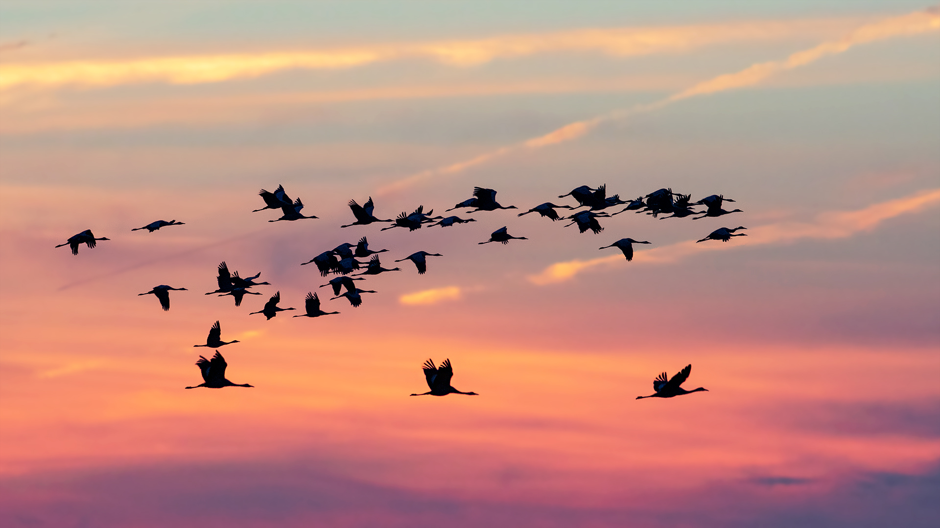 Aufbruch..... Foto & Bild | sonnenuntergang, himmel, ostsee Bilder auf ...