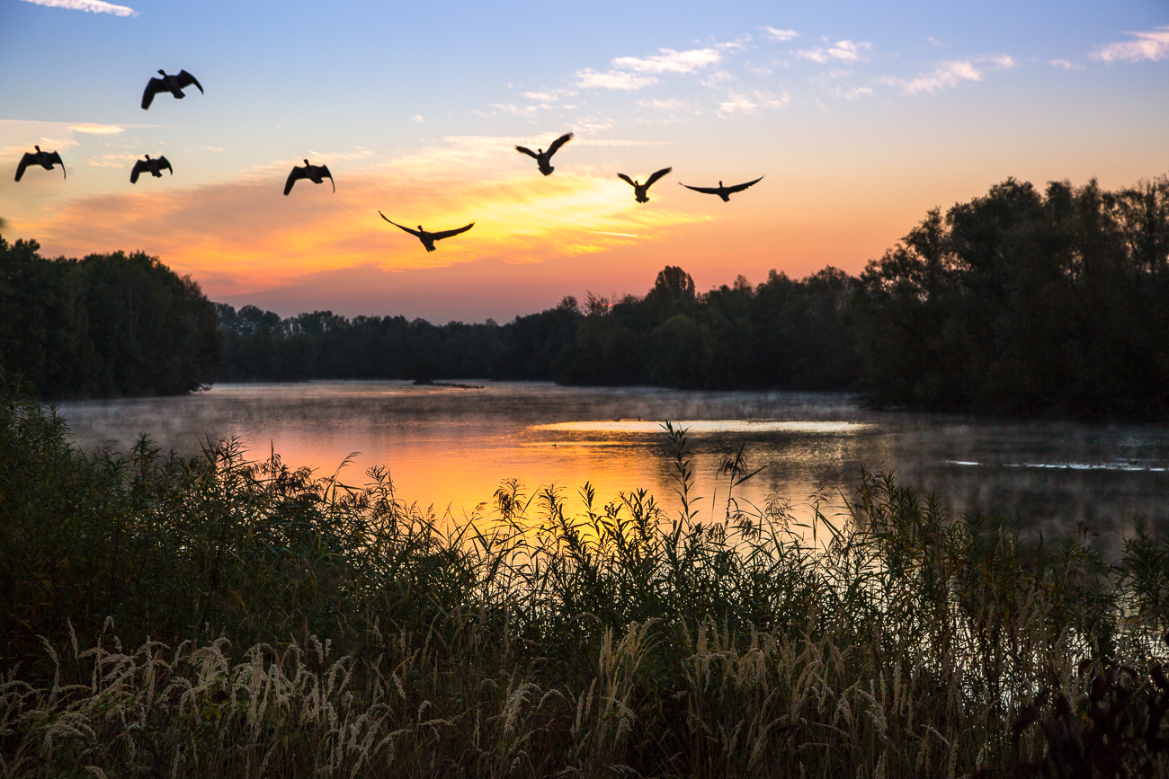 Aufbruch Foto & Bild | landschaft, sonnenaufgänge, bach, fluss & see ...