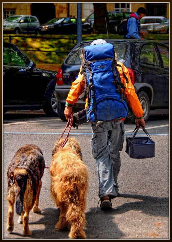 Aufbruch in den Großstadt-Dschungel ... Foto & Bild | erwachsene menschen, streetfotografie mit ...