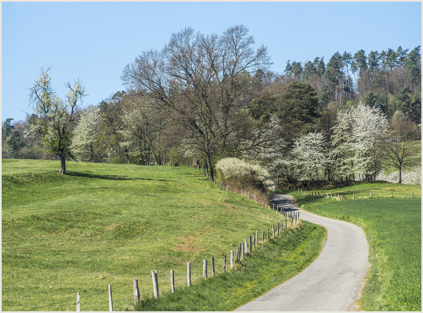 Auffahrt Foto & Bild | world, frühling, natur Bilder auf fotocommunity