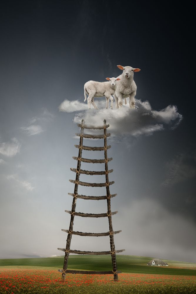 aufgestiegen Foto & Bild | fotomontage, fantasy mystery, surreal Bilder auf fotocommunity