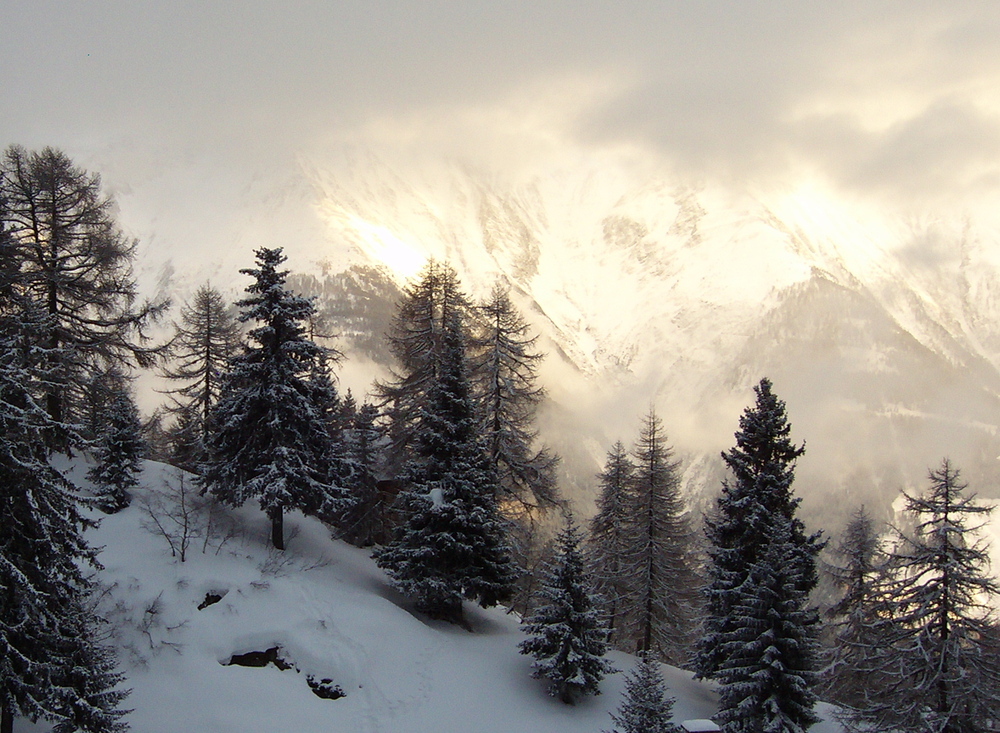 aufhellung Foto & Bild | jahreszeiten, winter, landschaft Bilder auf ...