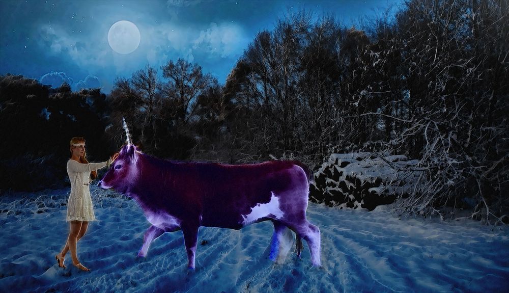 aufklährung ein einhorn ist kein weißes pferd hier der beweis ... Foto & Bild | bearbeitungs ...