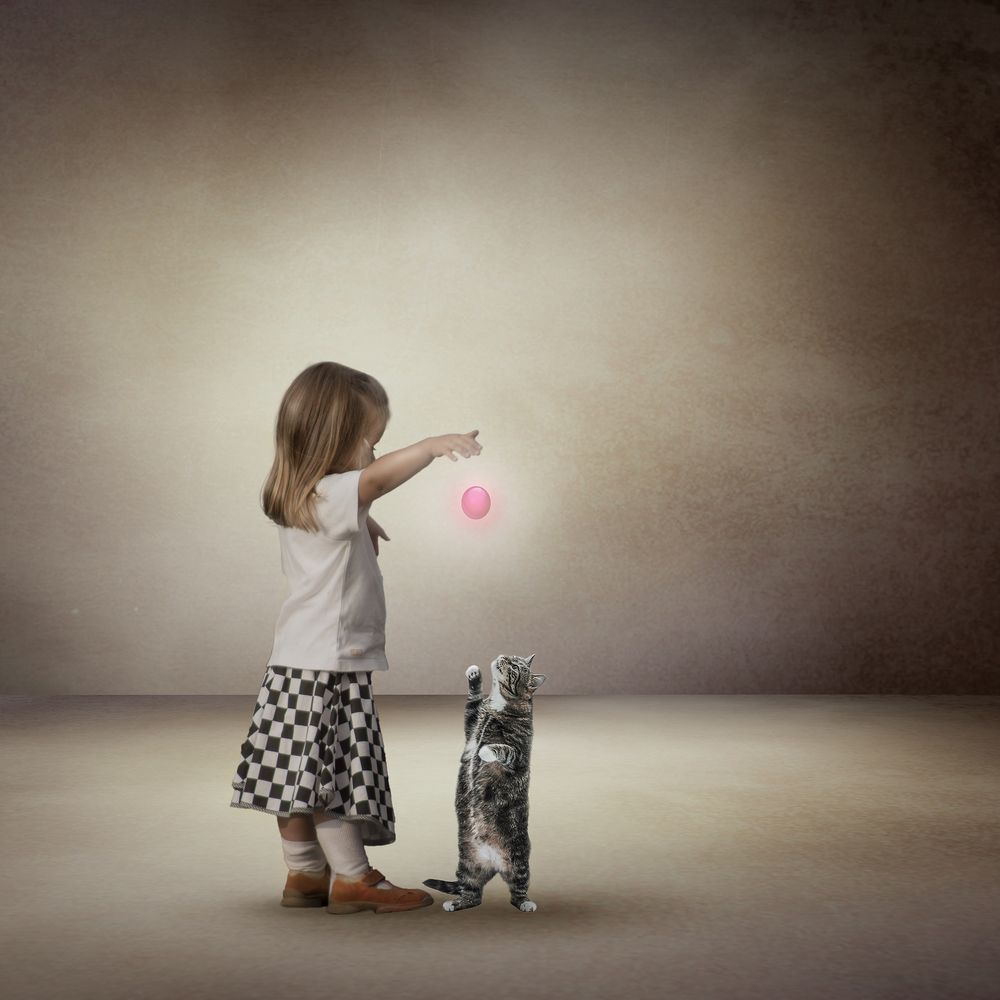 aufrecht Foto & Bild | fotomontage, composing , spielen Bilder auf fotocommunity