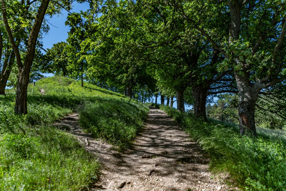 Aufstieg zum Florian Foto & Bild | landschaft, jahreszeiten, berge Bilder auf fotocommunity