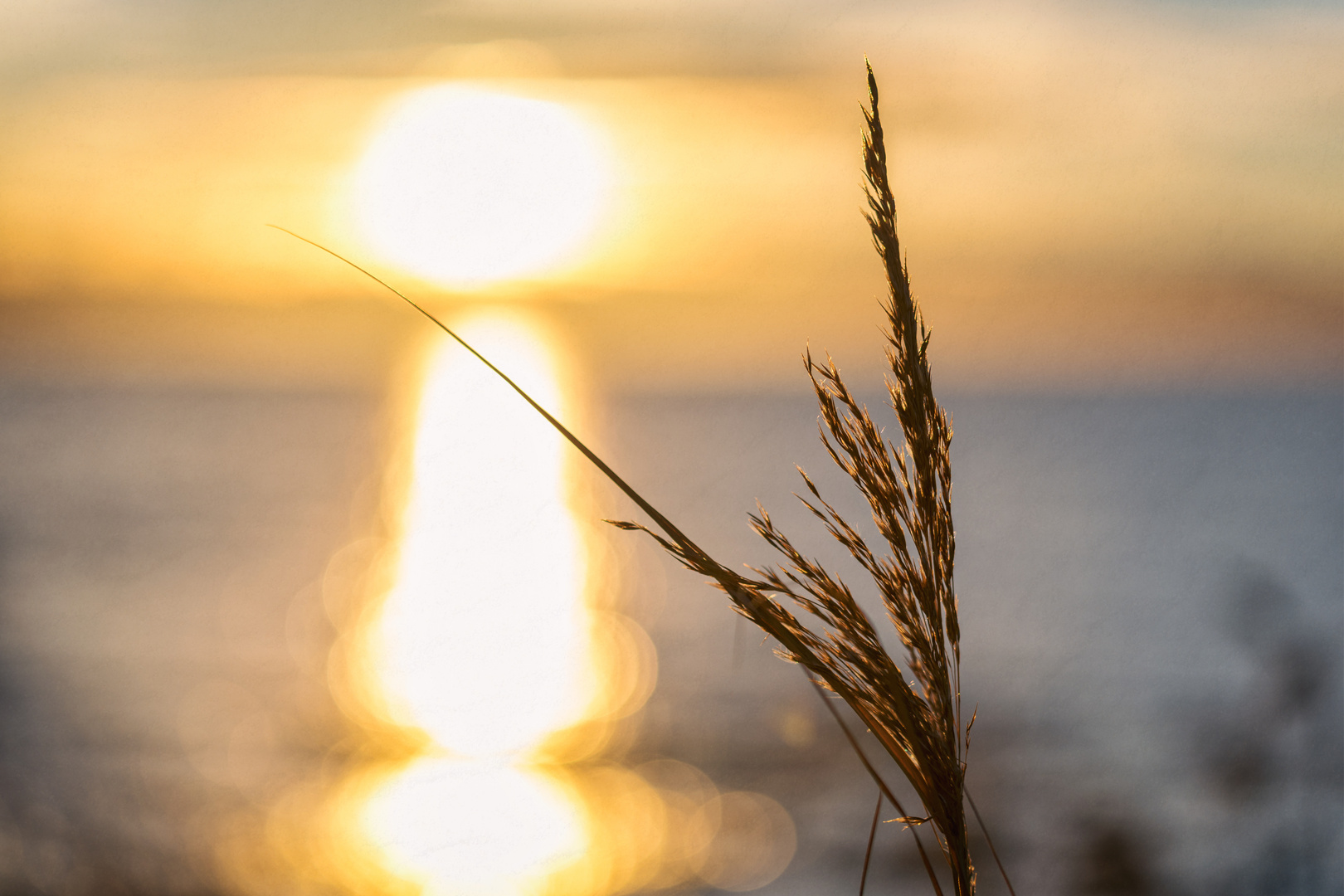 Auftakt Foto & Bild | fotokunst, emotionen, natur-kreativ Bilder auf fotocommunity