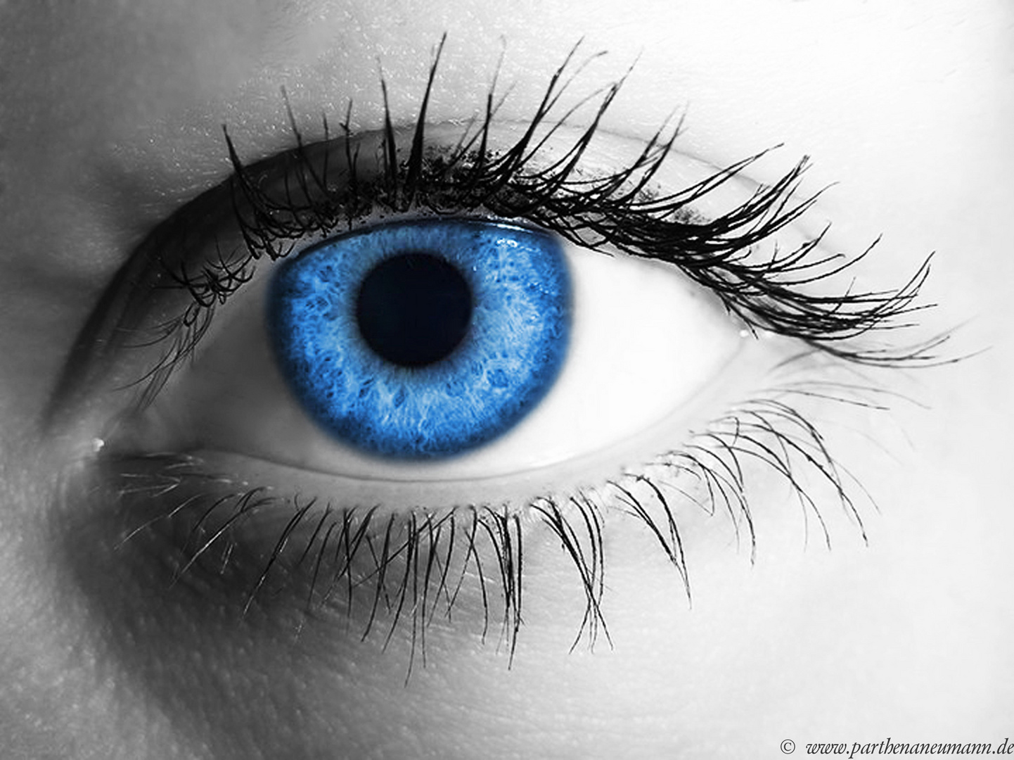 " Auge " Foto & Bild | portrait, selbstportraits, menschen Bilder auf ...