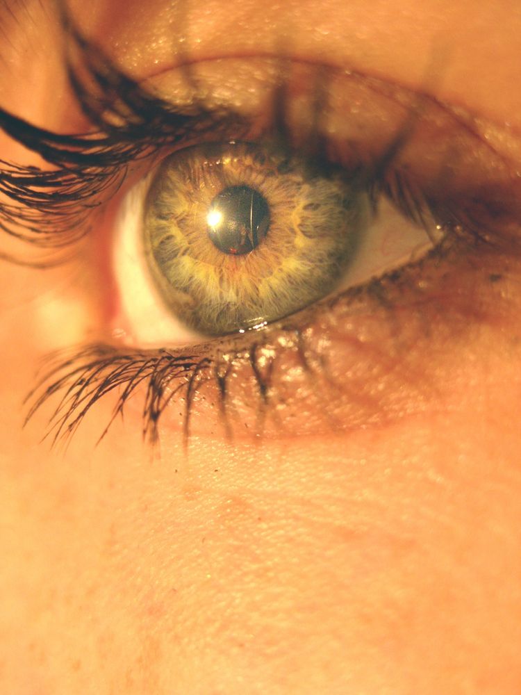 auge Foto & Bild | nah- & makro, techniken, aufnahme-techniken Bilder ...