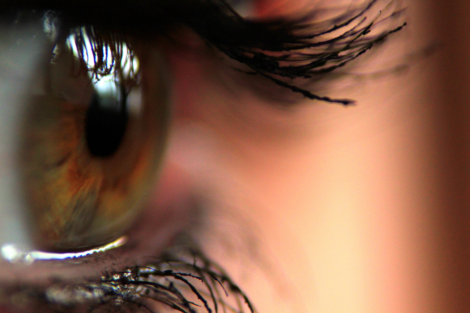 Auge // Makro Foto & Bild | spezial, makro, auge Bilder auf fotocommunity