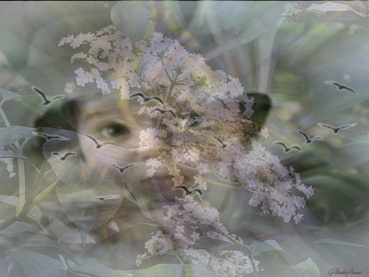 Augenblicke... Foto & Bild | projekte, fotomontage, bearbeitungs - techniken Bilder auf ...