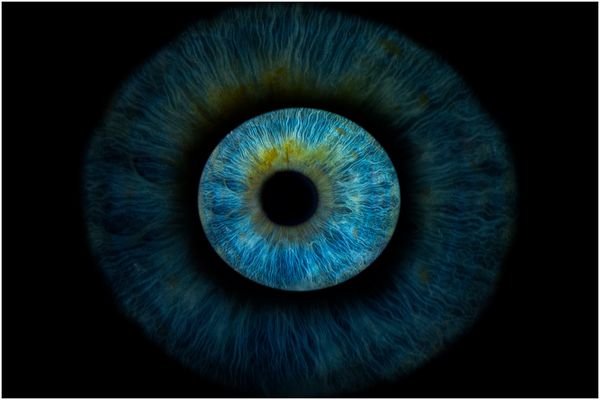 Augen Bilder & Fotos