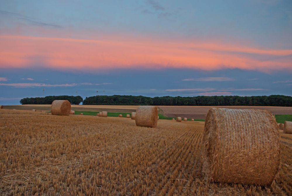August Foto & Bild | landschaft, kulturlandschaften, august Bilder auf ...