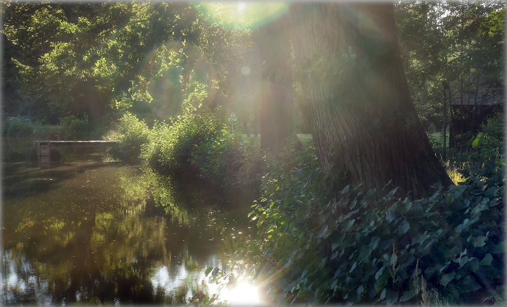 August Foto & Bild | landschaft, jahreszeiten, bach, fluss & see Bilder ...