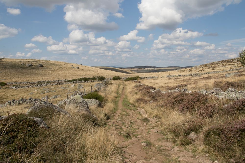 Aumont aubrac Foto & Bild | archiv projekte naturchannel ...