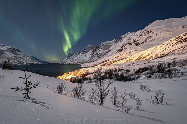 Daniel Spohn - Fotos & Bilder - Fotograf aus Homburg, Deutschland ...