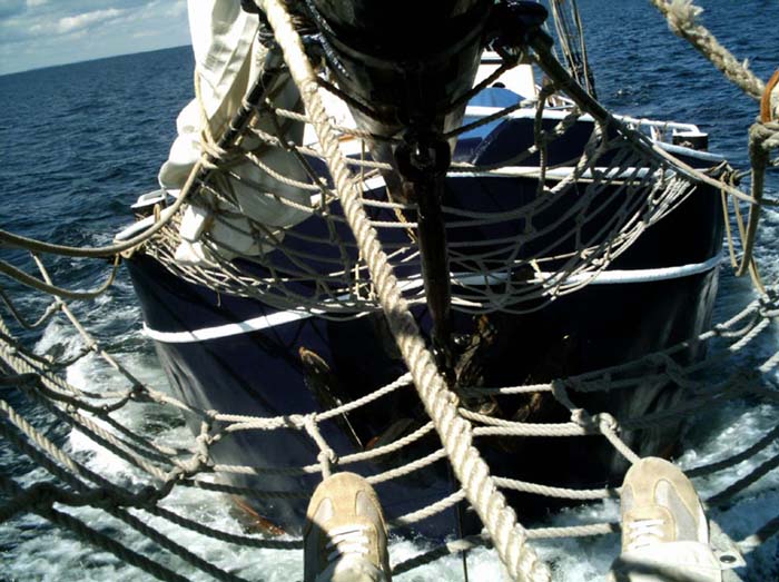 Aus dem Netz Foto & Bild | landschaft, meer & strand, natur Bilder auf ...