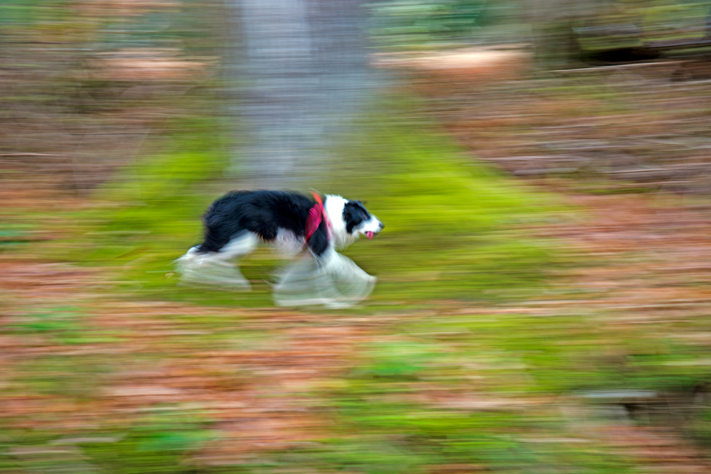 Aus der Puste - Bild & Foto von simply-infrared aus Bewegung ...