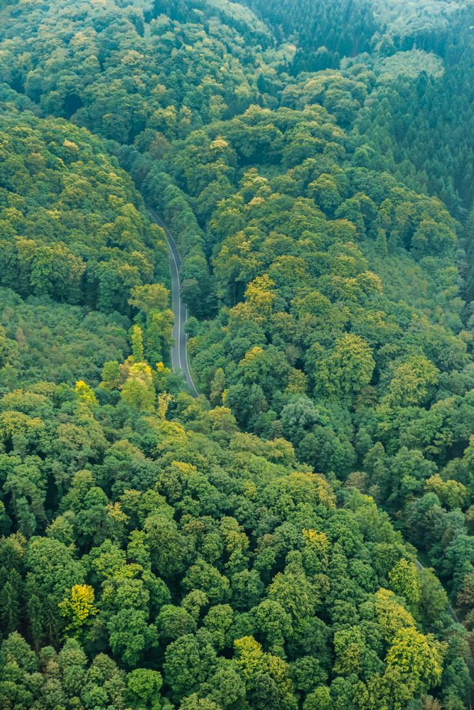 Aus der Vogelperspektive 3 Foto & Bild | von oben, wald, landschaften ...