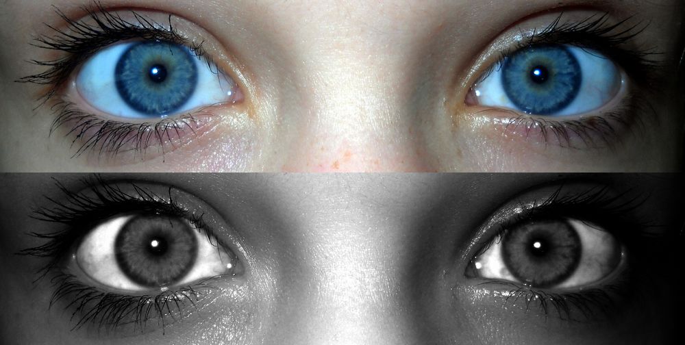 "aus vier augen sieht die welt viel heiterer aus als aus zweien." Foto ...