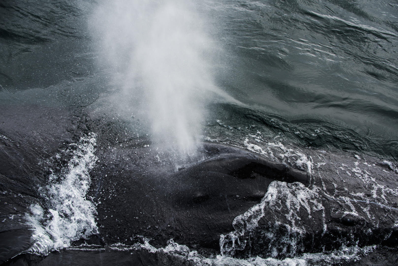Ausatmen DSC_4068 Foto & Bild | meer, natur, canada Bilder auf ...