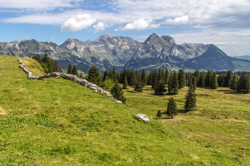 Ausblick im Toggenburg - der Säntis Foto & Bild | landschaft, berge, in ...