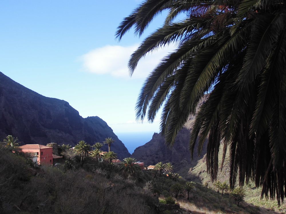 Ausblick in Paradies - Bild & Foto von Lunaris Sky aus Landschaft ...