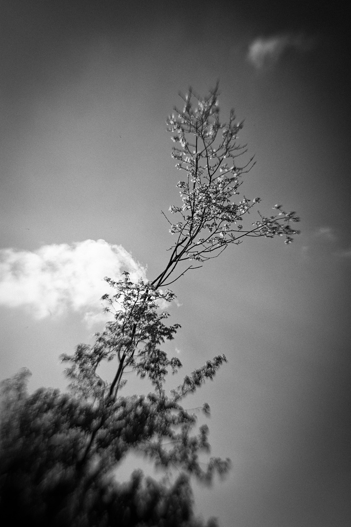 ausbrechen Foto & Bild | techniken, fotokunst, monochrome fine art ...